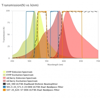 Alluxa Multi-Fluorescence Filter Set: suitable for YFP or mCherry ...